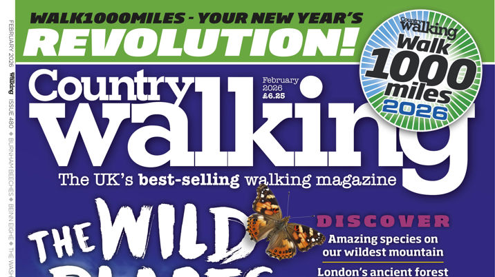 InPublishing: Country Walking magazine kicks off its Walk1000Miles ...