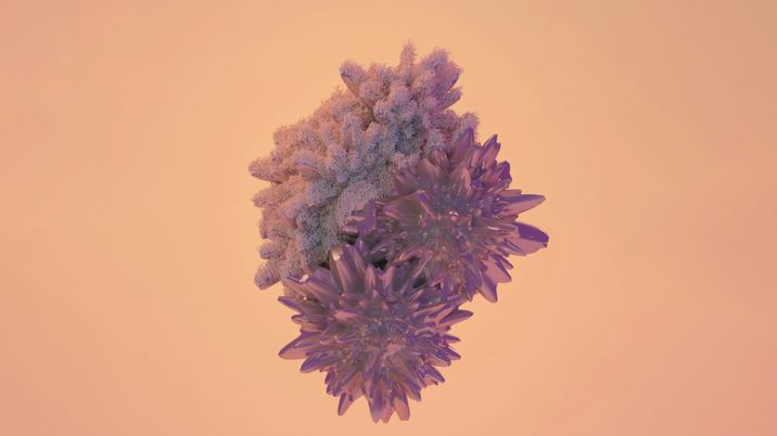 InPublishing: Nature announces two new journals